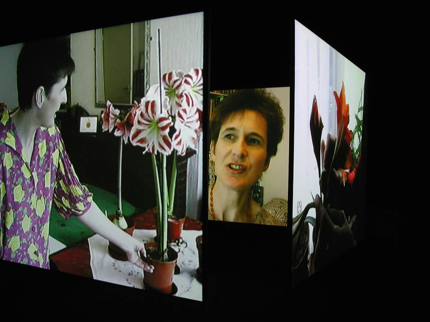 Op weg naar documenta 5